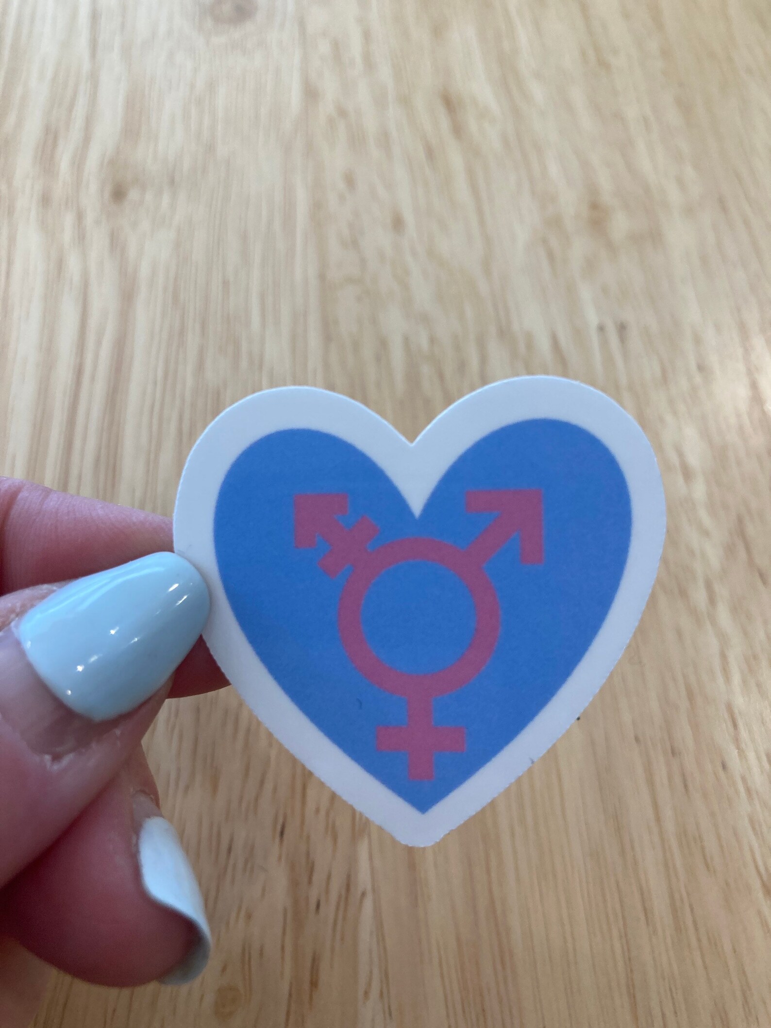 Trans Pride Sticker Pack LGBTQ Stickers Pride Stickers - Etsy