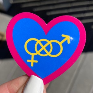 Pansexual Pride Sticker Pack, LGBTQ Stickers, Pride Stickers, Water ...