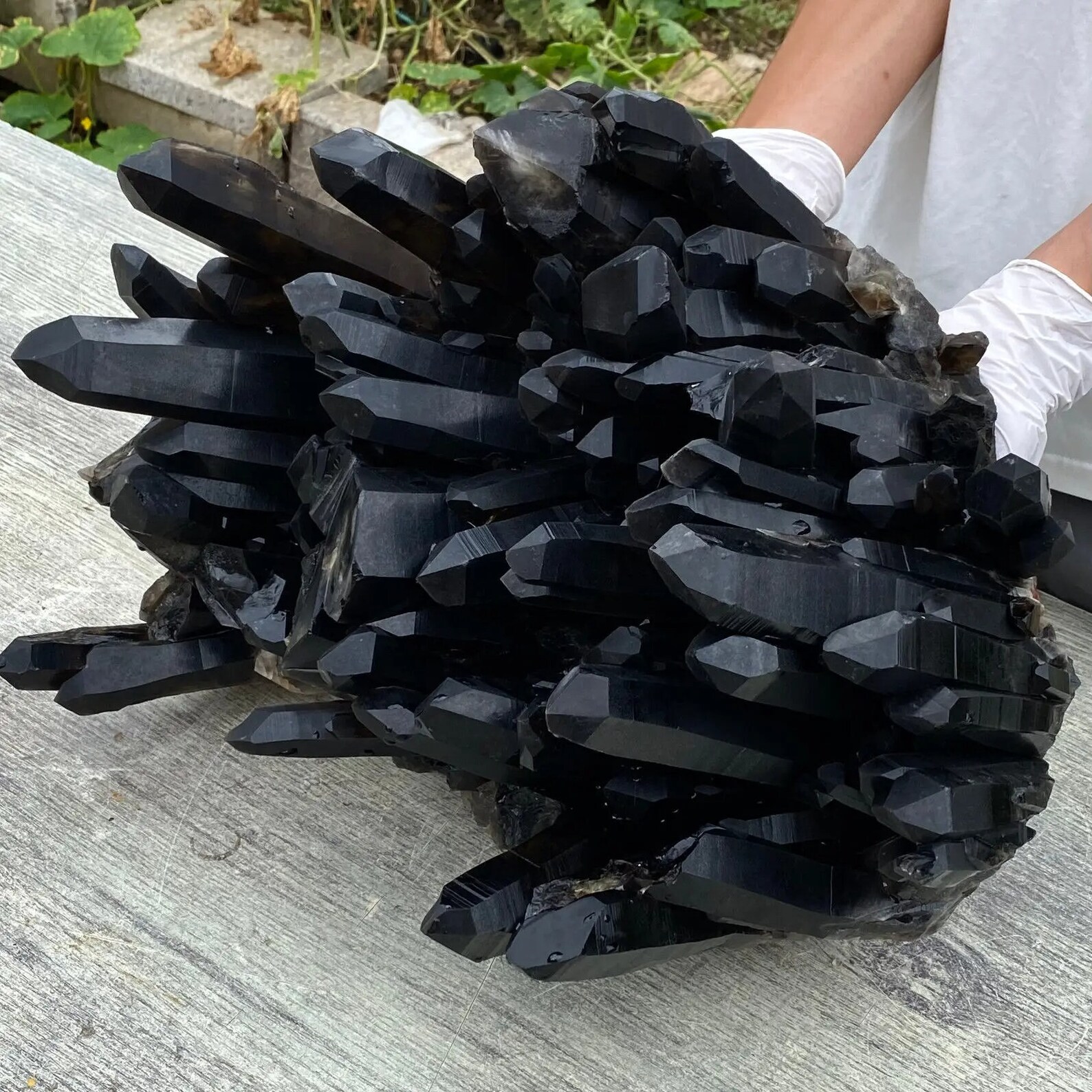 Natural Black Smoky QUARTZ Crystal Cluster Specimen Healing - Etsy