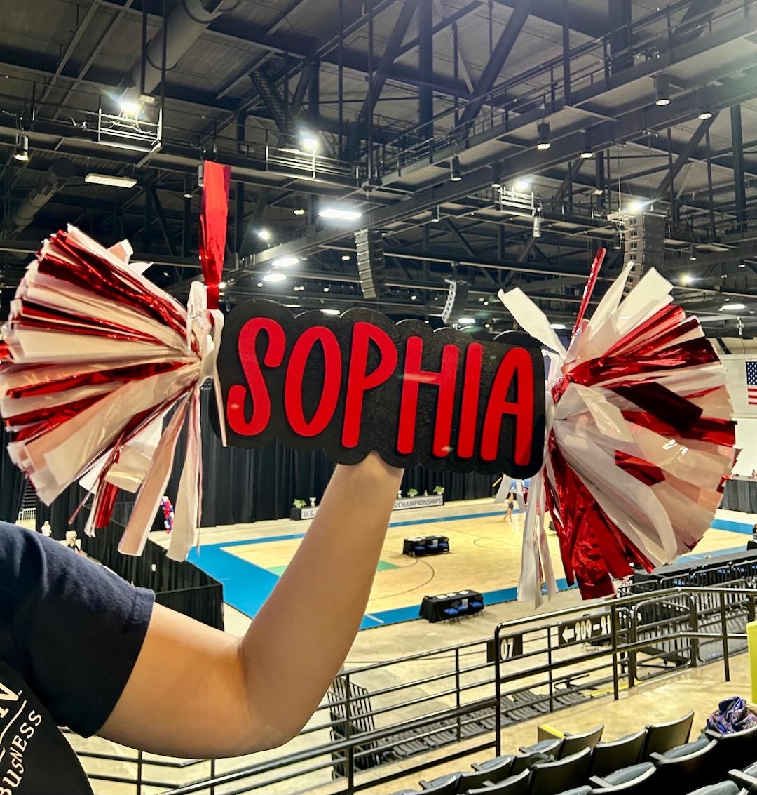 Personalized Cheer Stick With Pom Poms | Game Day School Spirit Sign ...