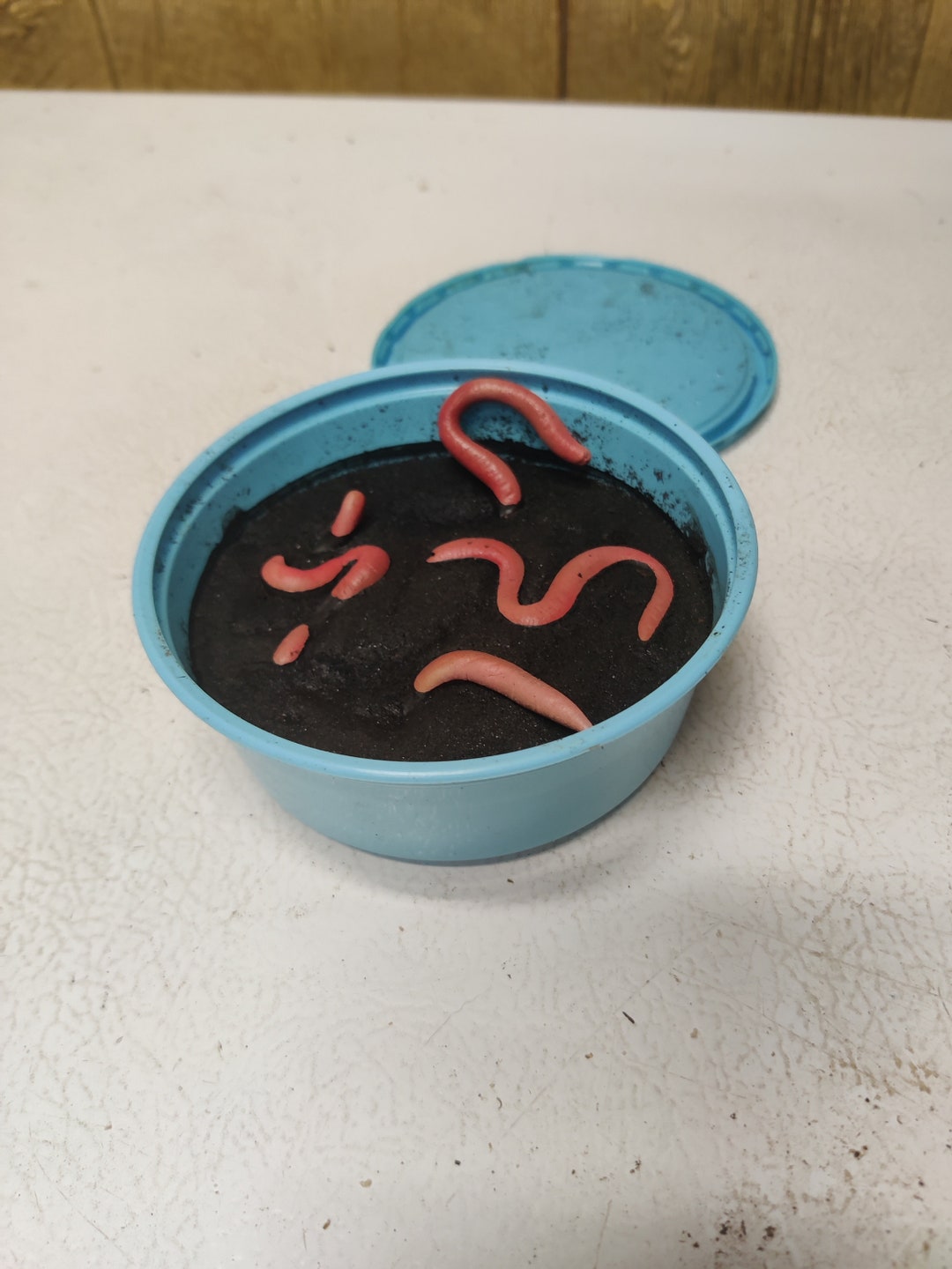 Reproduction Fishing Worms Artificial Sculpted Taxidermy - Etsy
