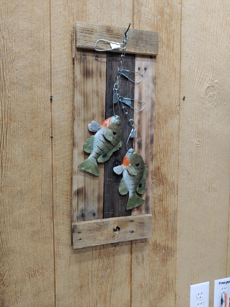 Bluegill Reproduction Stringer Mount Taxidermy Fishing Cabin Panfish - Etsy