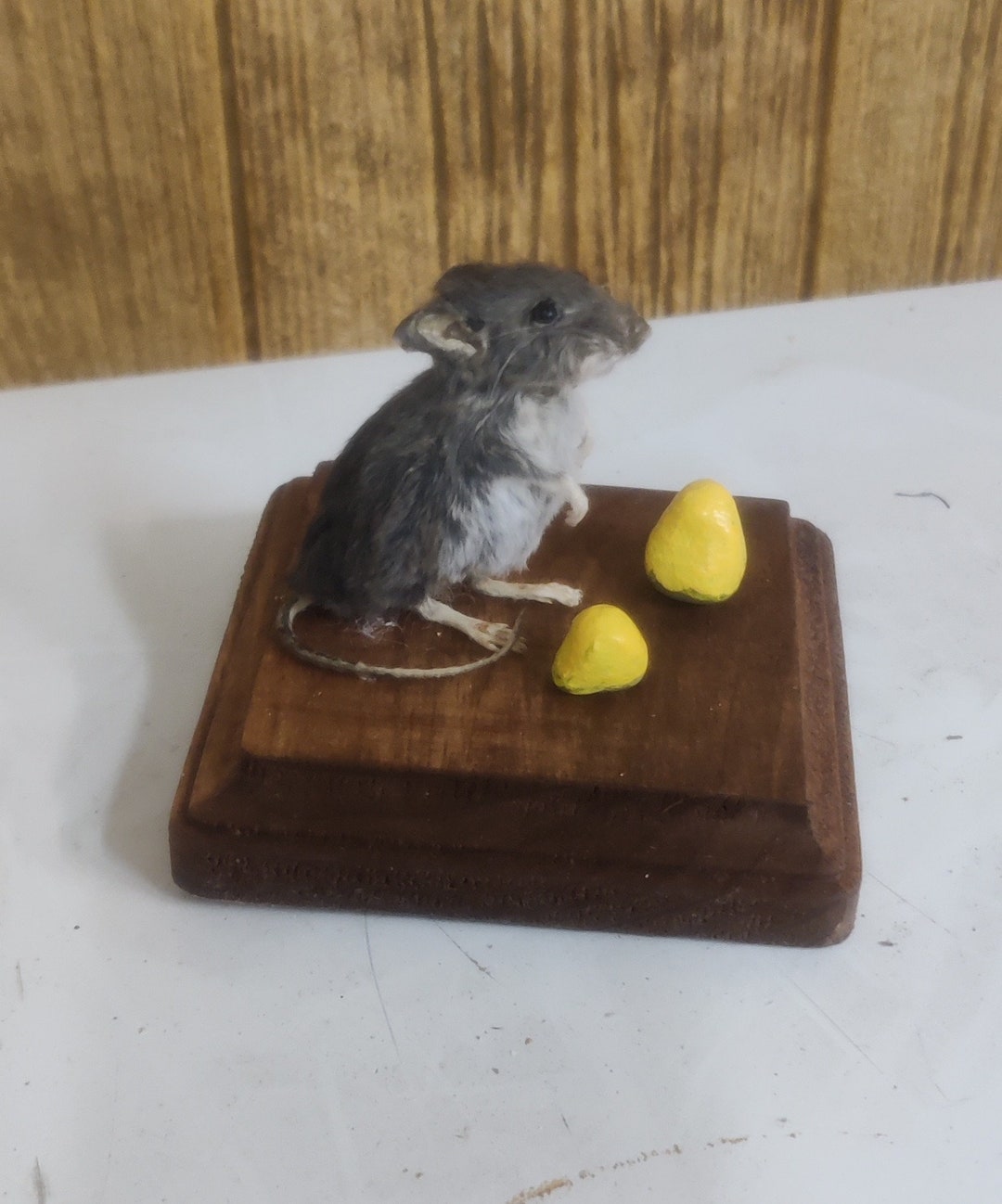 Freeze Dried Mouse Taxidermy Novelty Trophy Room Mice - Etsy
