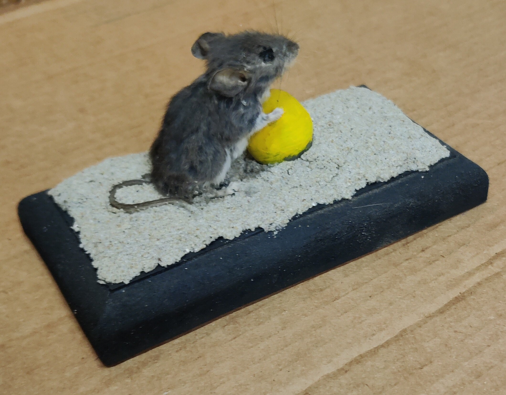 Mouse Taxidermy Freeze Dried Oddities Outdoors Vermin Mice Prank - Etsy