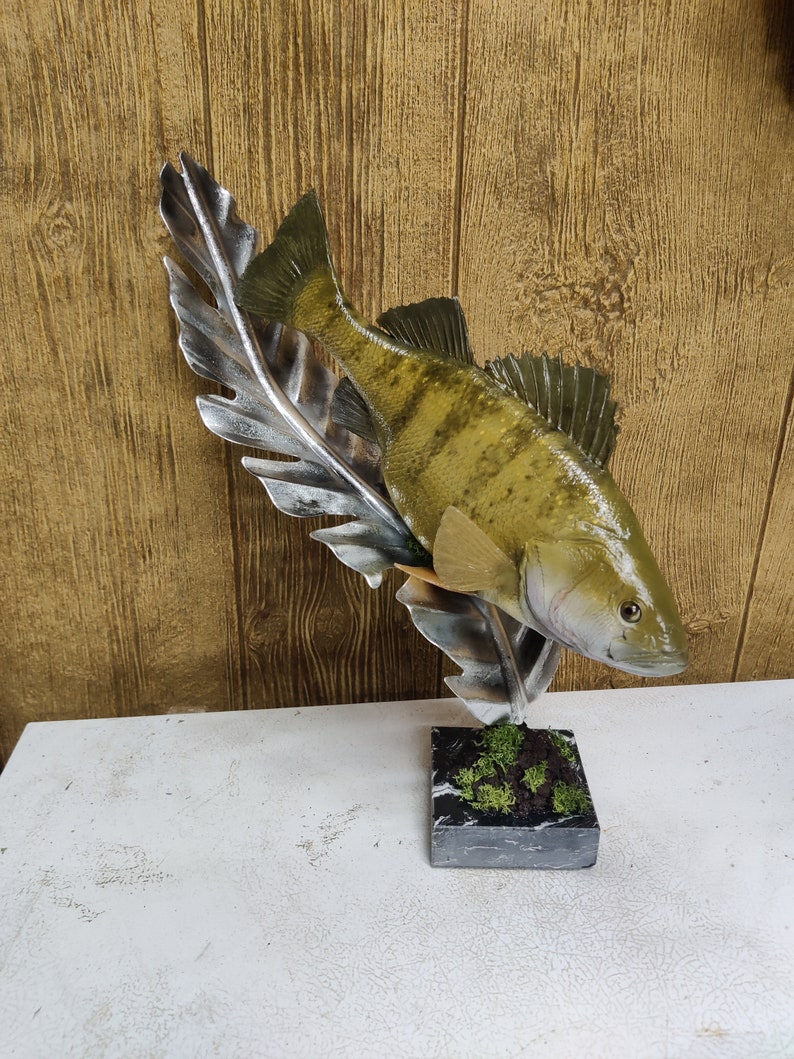 Yellow Perch Reproduction Fish Mount Taxidermy Cabin Decor - Etsy