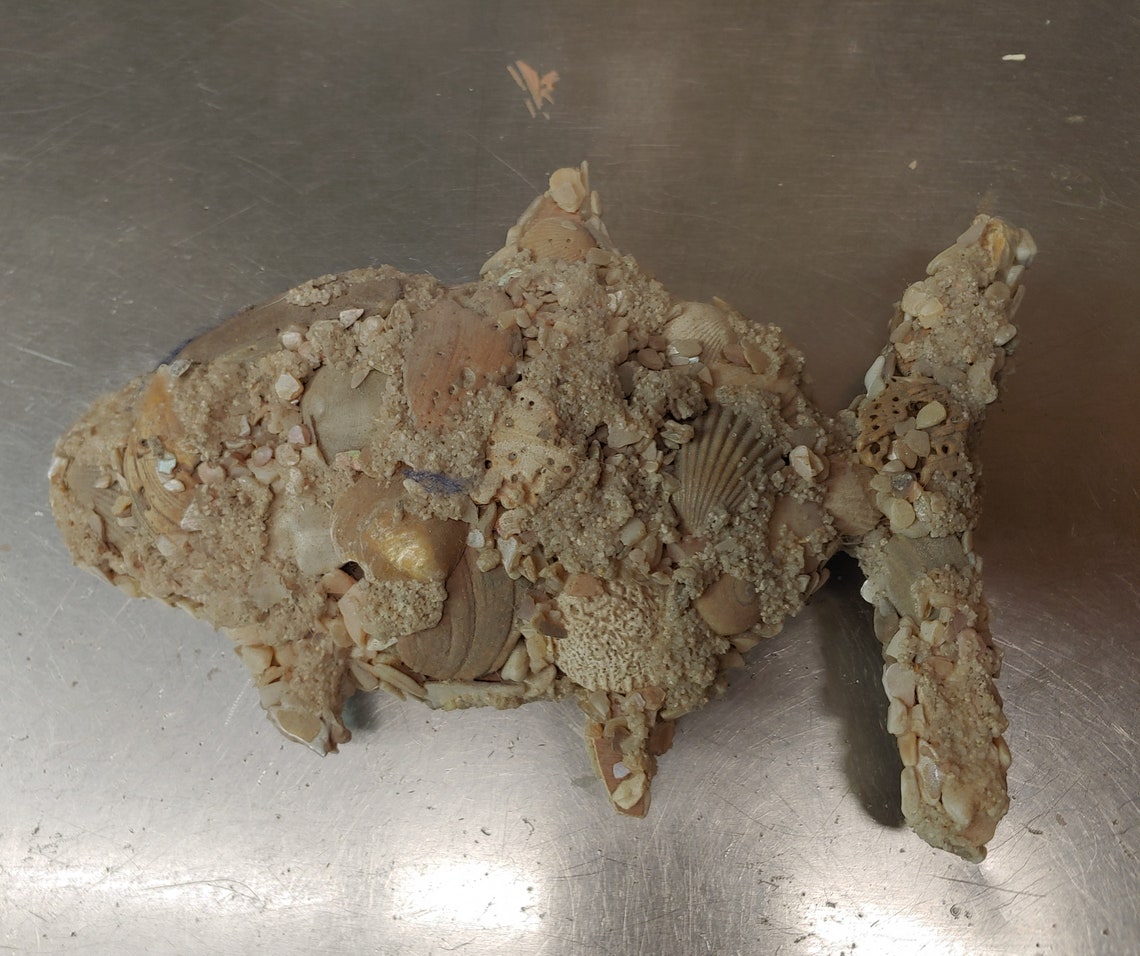 Pompano Sea Shell Fish Art Fishing Ocean Aquatic - Etsy