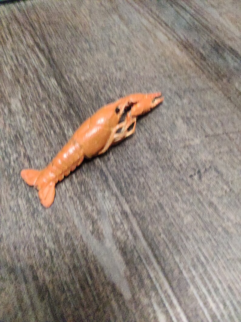 Crawfish Taxidermy Freeze Dried Fishing Outdoors Cabin Decor Oddities ...