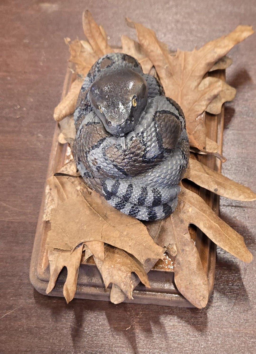 Rattlesnake Reproduction Cast Baby Coiled Reptile Wood Base Taxidermy ...
