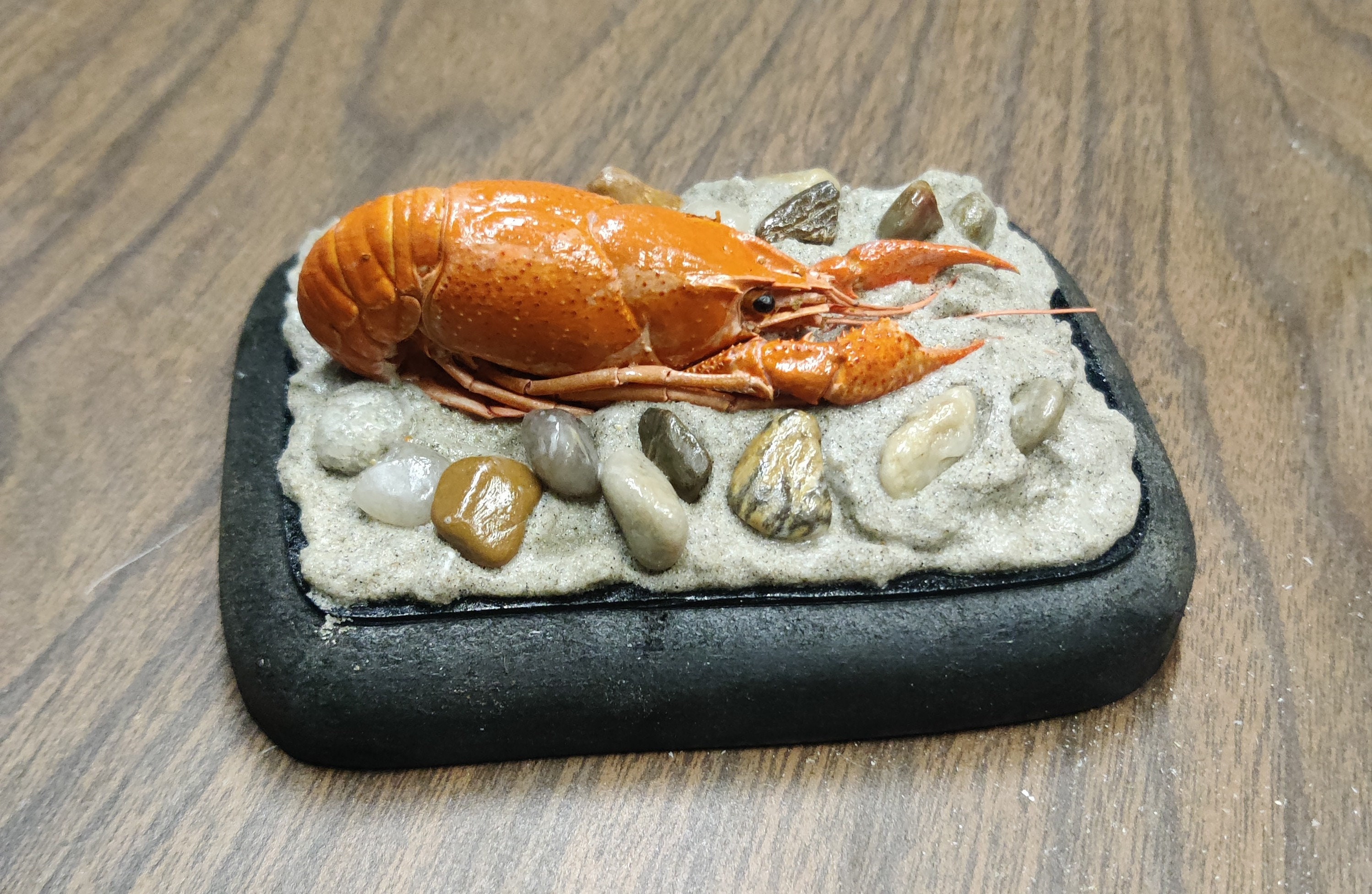 Crawfish Taxidermy Fishing Crayfish Mount Outdoors Cabin Decor - Etsy