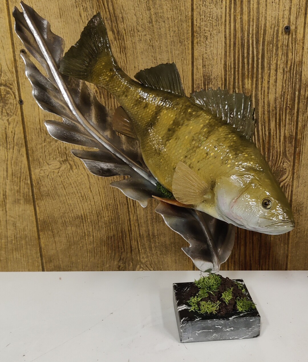 Yellow Perch Reproduction Fish Mount Taxidermy Cabin Decor - Etsy
