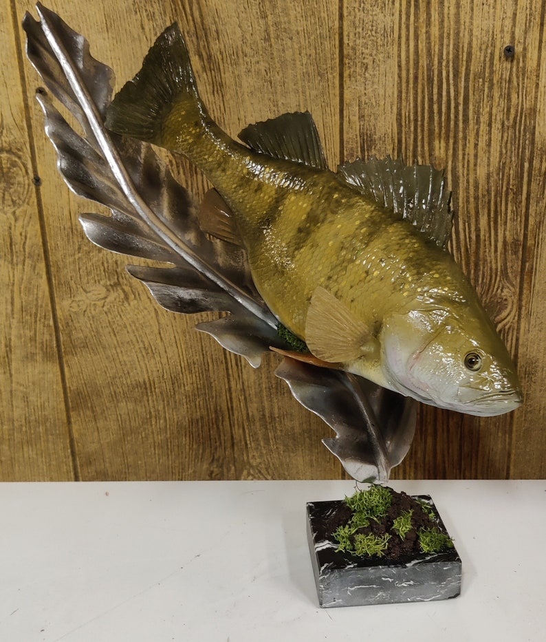 Yellow Perch Reproduction Fish Mount Taxidermy Cabin Decor - Etsy