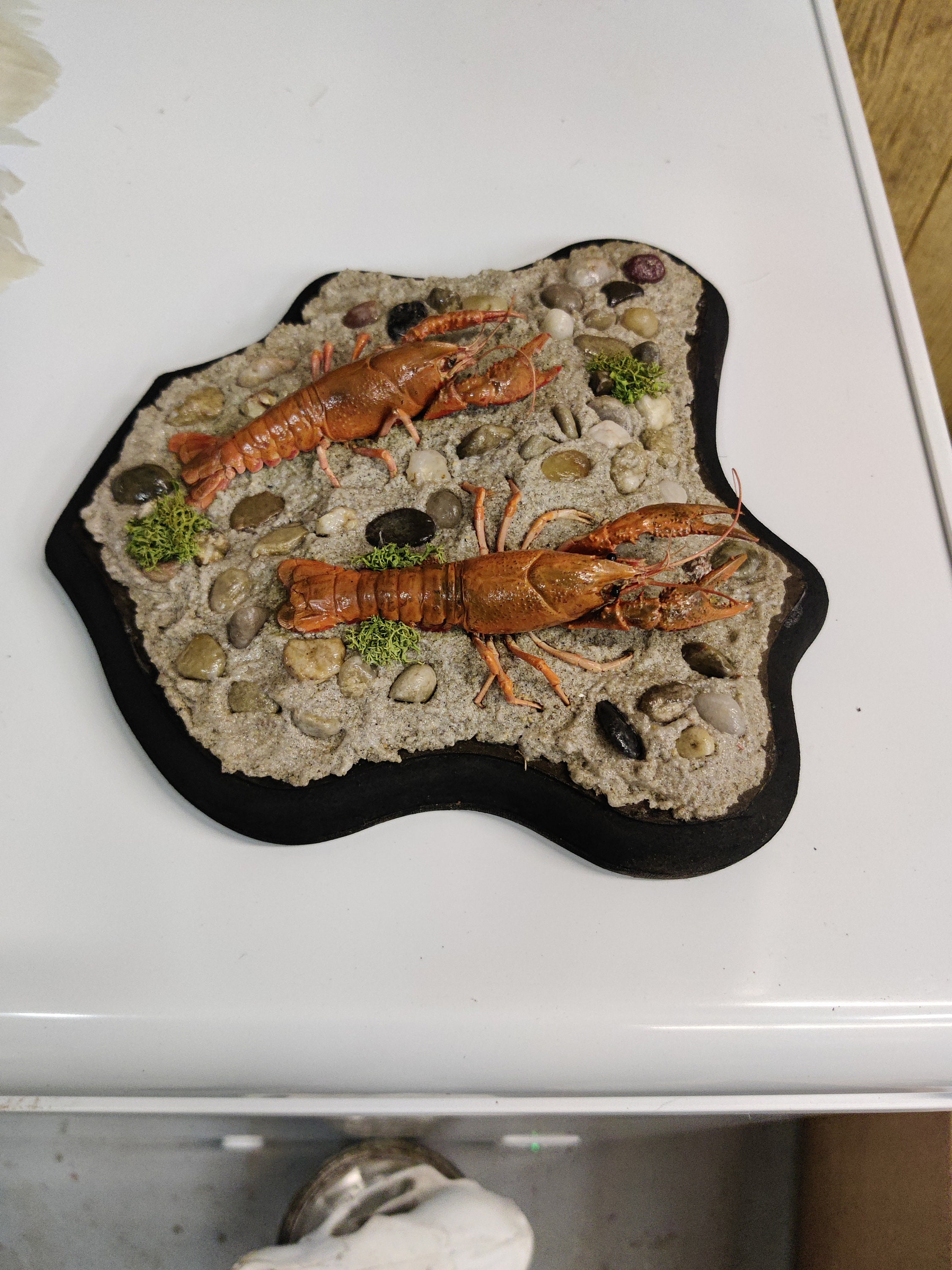 Double Crawfish Freeze Dried Taxidermy Creek Mount Outdoors Fishing ...