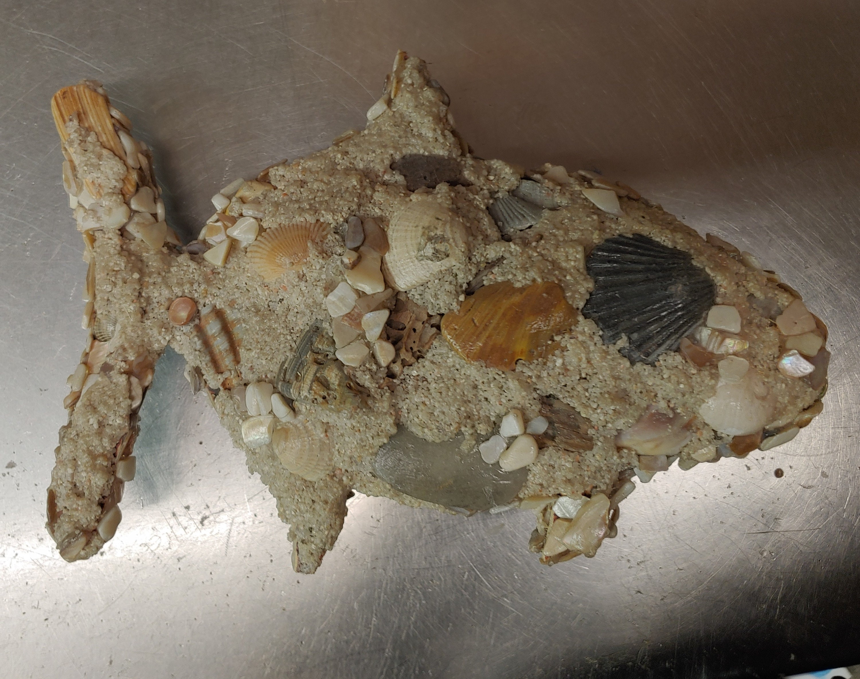 Pompano Sea Shell Fish Art Fishing Ocean Aquatic - Etsy