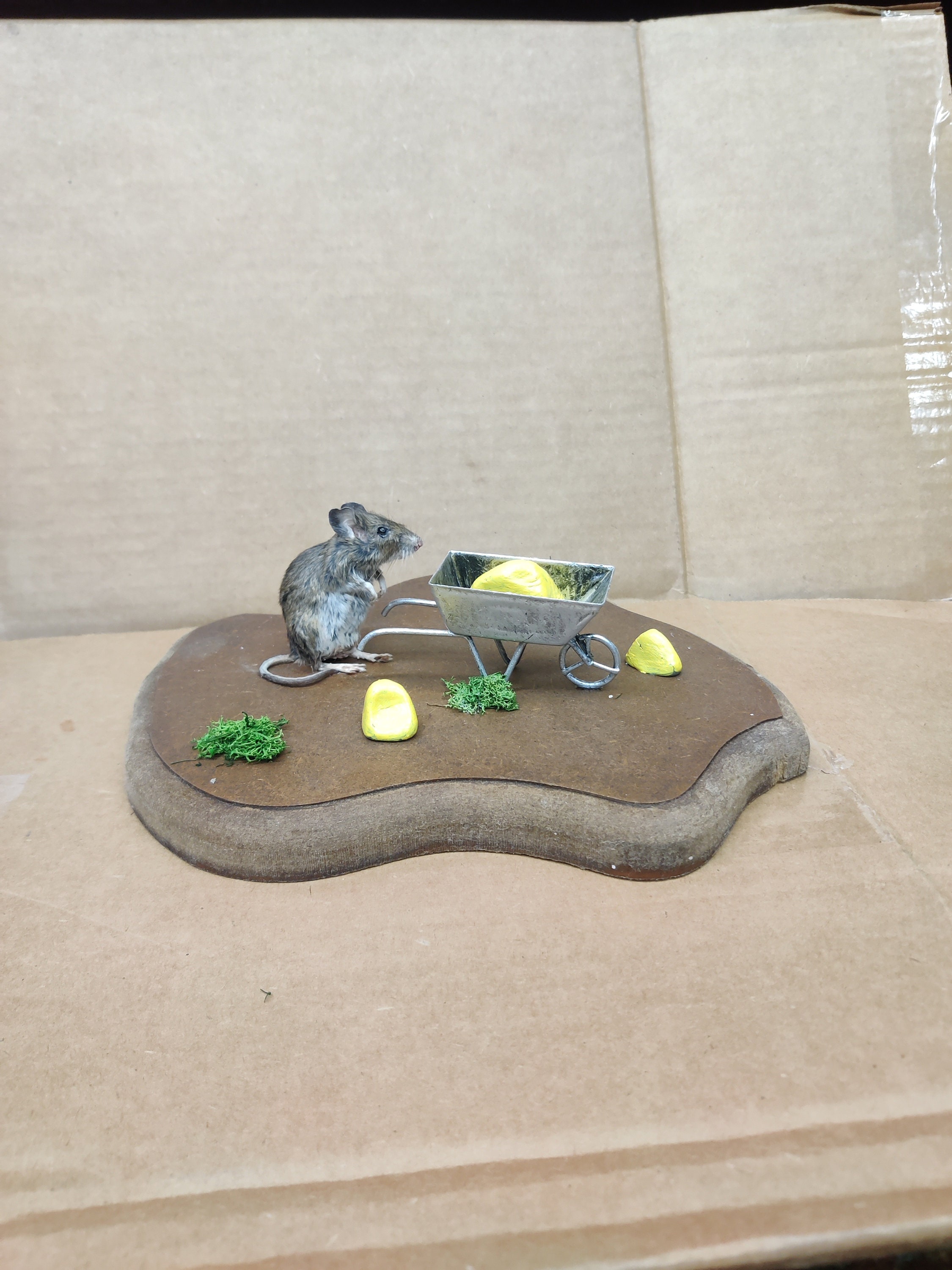 Mouse Taxidermy Freeze Dried Wheel Barrel Cheese Novelty Cabin Decor - Etsy