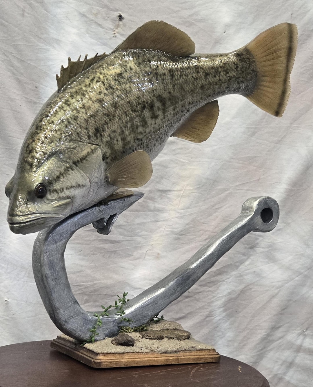 Largemouth Bass Reproduction Fish Mount Trophy Closed Mouth on Fish ...