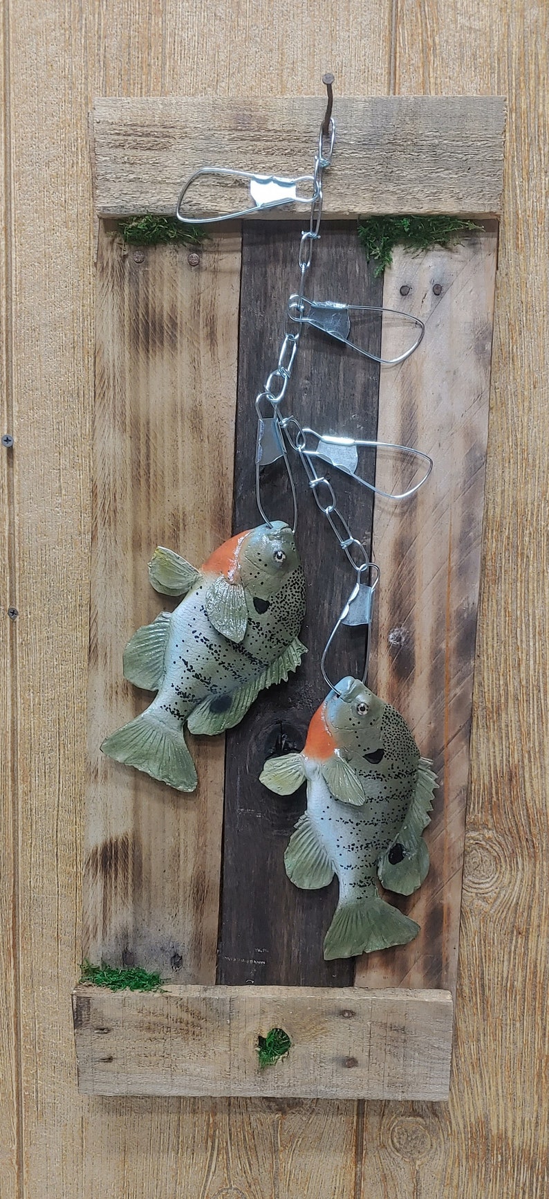 Bluegill Reproduction Stringer Mount Taxidermy Fishing Cabin Panfish - Etsy