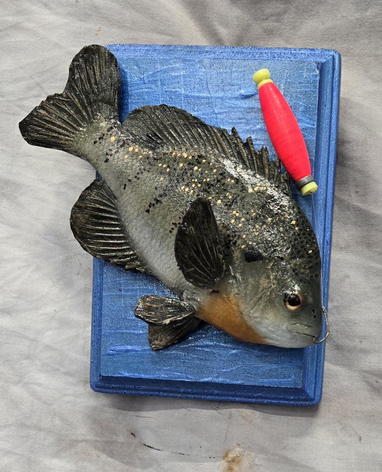 Bluegill Reproduction Taxidermy Fish Mount Outdoors Decor Cabin Trophy ...