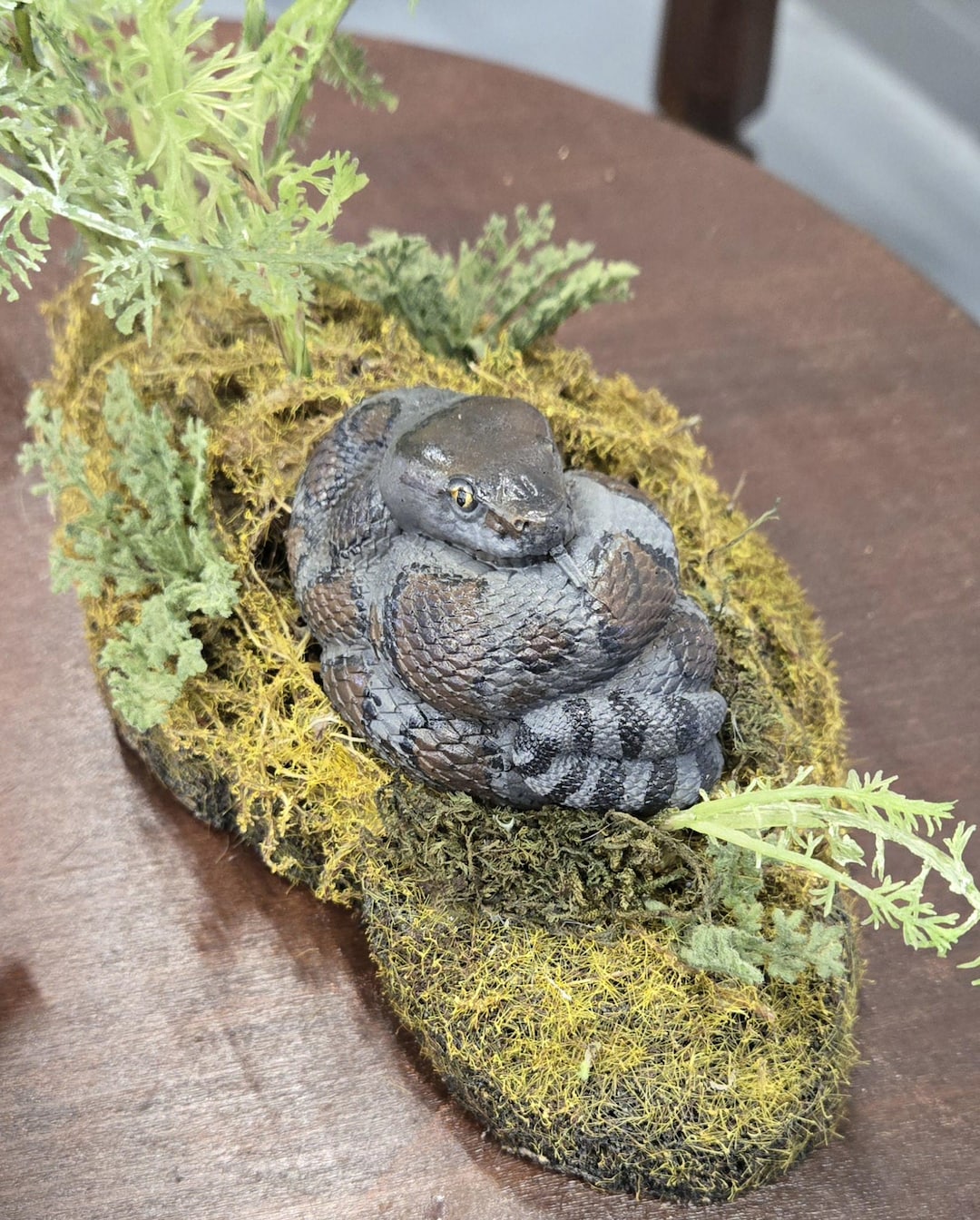 Baby Rattlesnake Cast Reproduction Coiled up on Base With Moss and ...