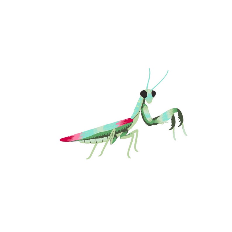 Pastel Praying Mantis Embroidery Pattern. 6" Pattern. DIGITAL DOWNLOAD ...