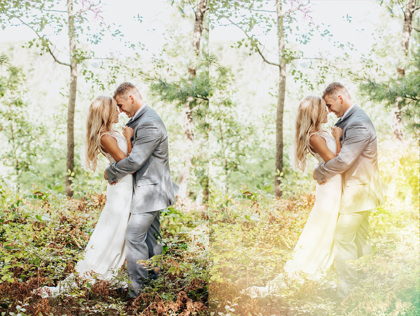 Warm Toned Photo Overlays - Etsy