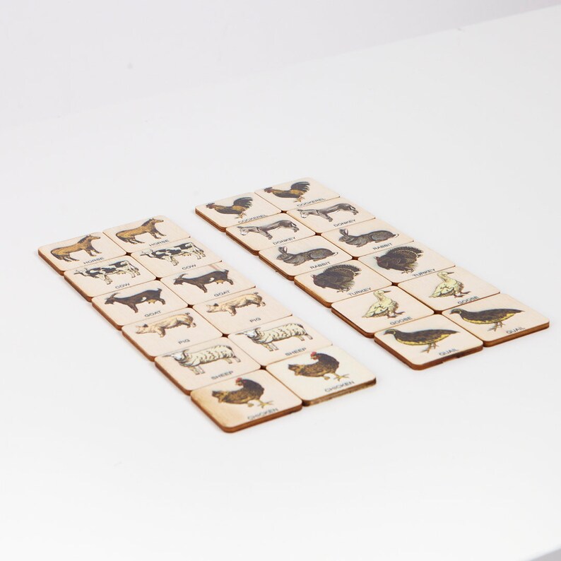 Farm Animals 24 Matching Montessori Cards, Montessori Wooden Memory ...