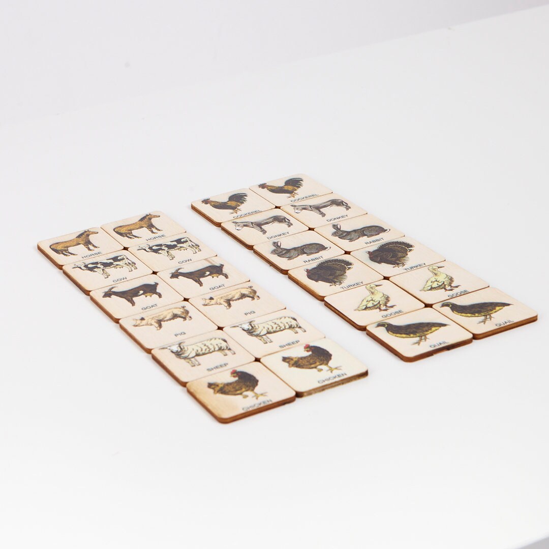 Farm Animals 24 Matching Montessori Cards, Montessori Wooden Memory ...