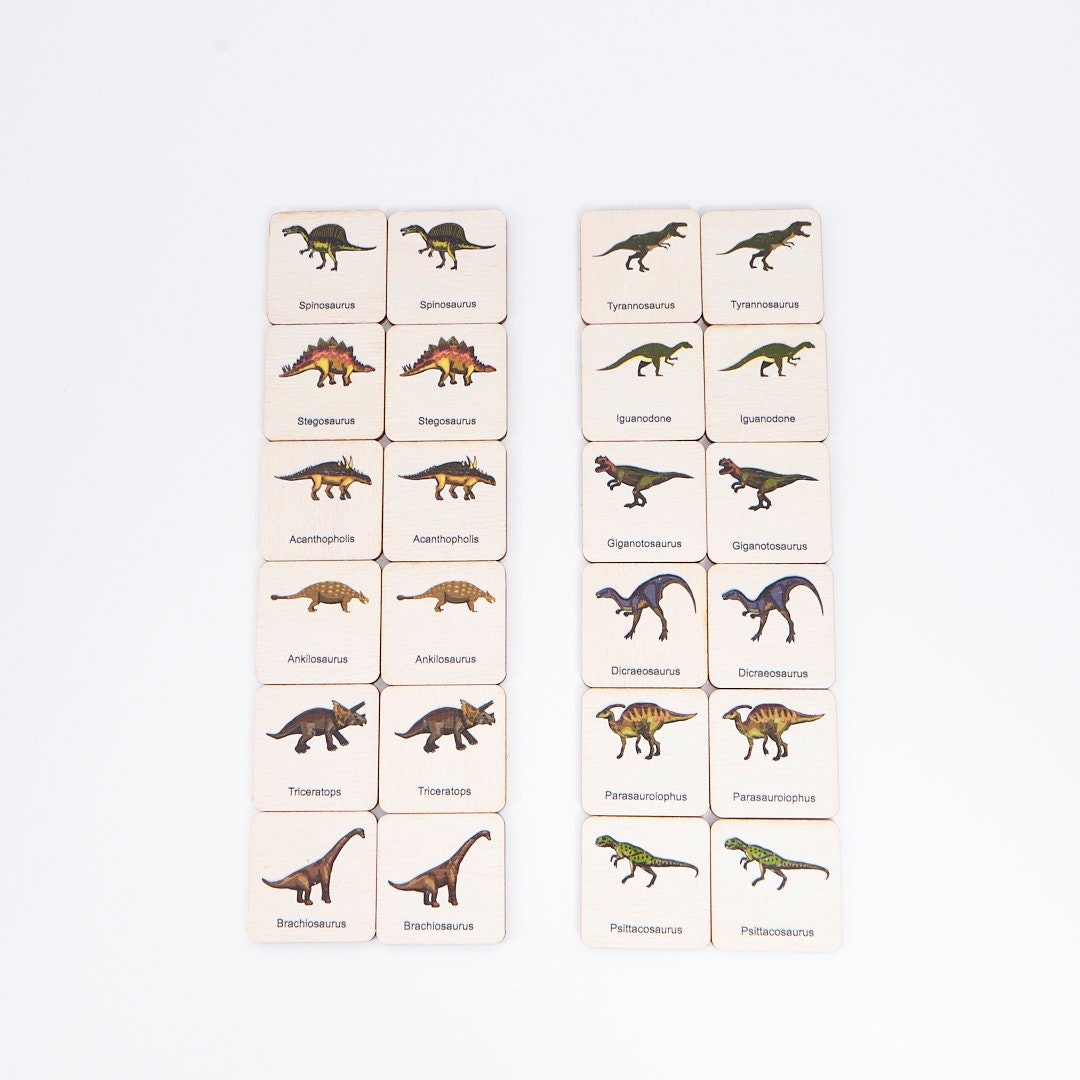Dinosaurs 24 Matching Montessori Cards, Montessori Wooden Memory Game ...