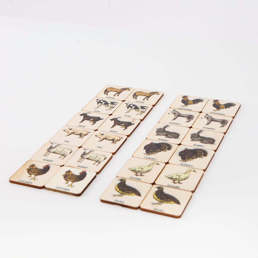 Farm Animals 24 Matching Montessori Cards, Montessori Wooden Memory ...