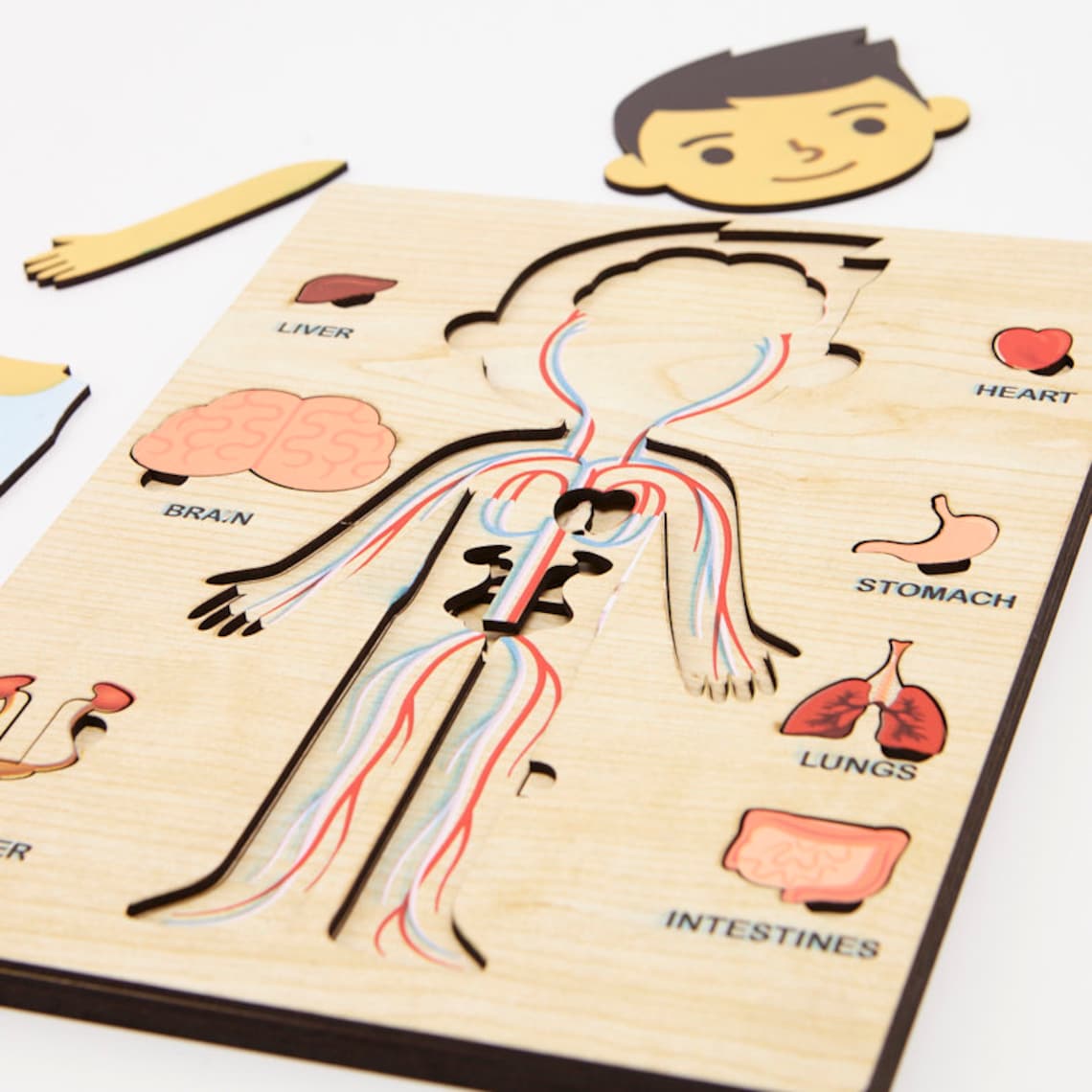 Montessori Toys Human Body Puzzle Toddler Toys Wooden Human - Etsy