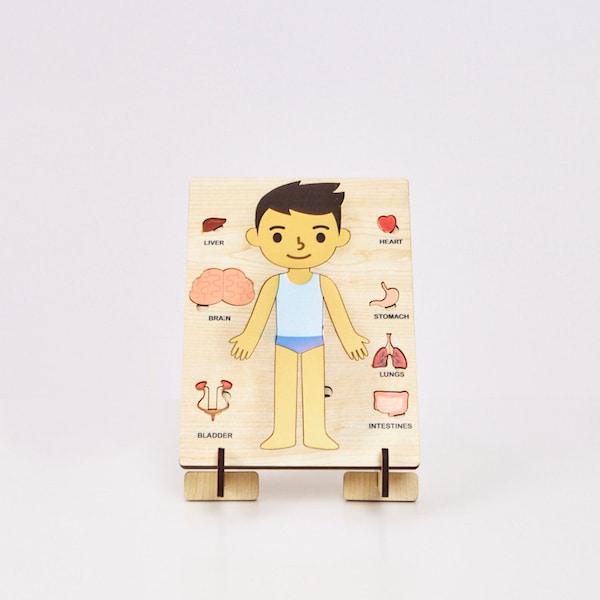 Human Body Puzzle - Etsy