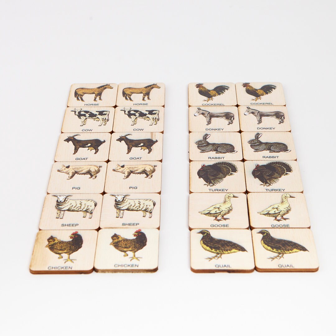 Farm Animals 24 Matching Montessori Cards, Montessori Wooden Memory ...