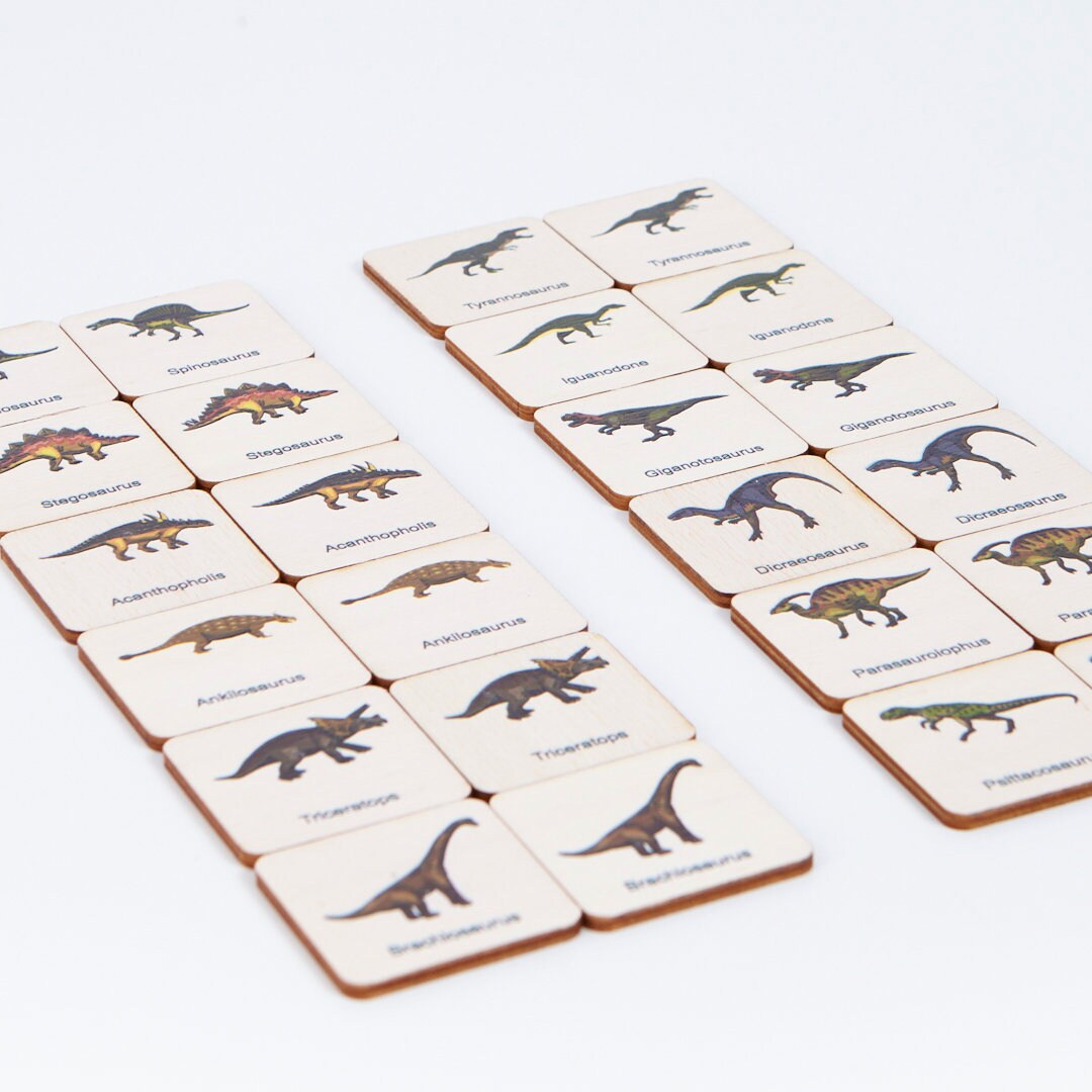Dinosaurs 24 Matching Montessori Cards, Montessori Wooden Memory Game ...
