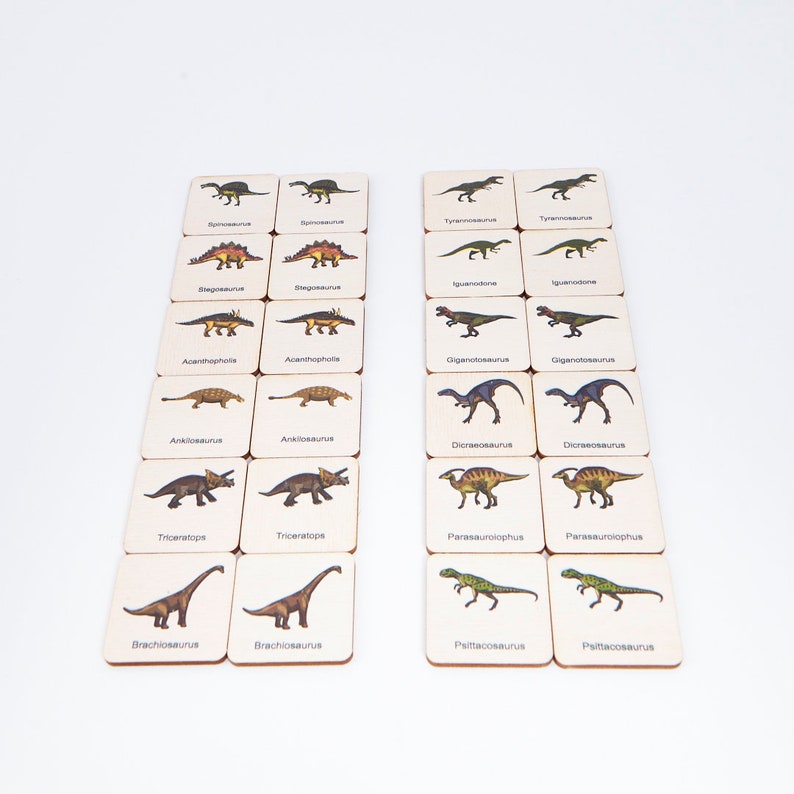 Dinosaurs 24 Matching Montessori Cards, Montessori Wooden Memory Game ...