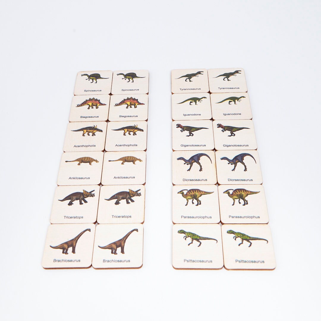 Dinosaurs 24 Matching Montessori Cards, Montessori Wooden Memory Game ...