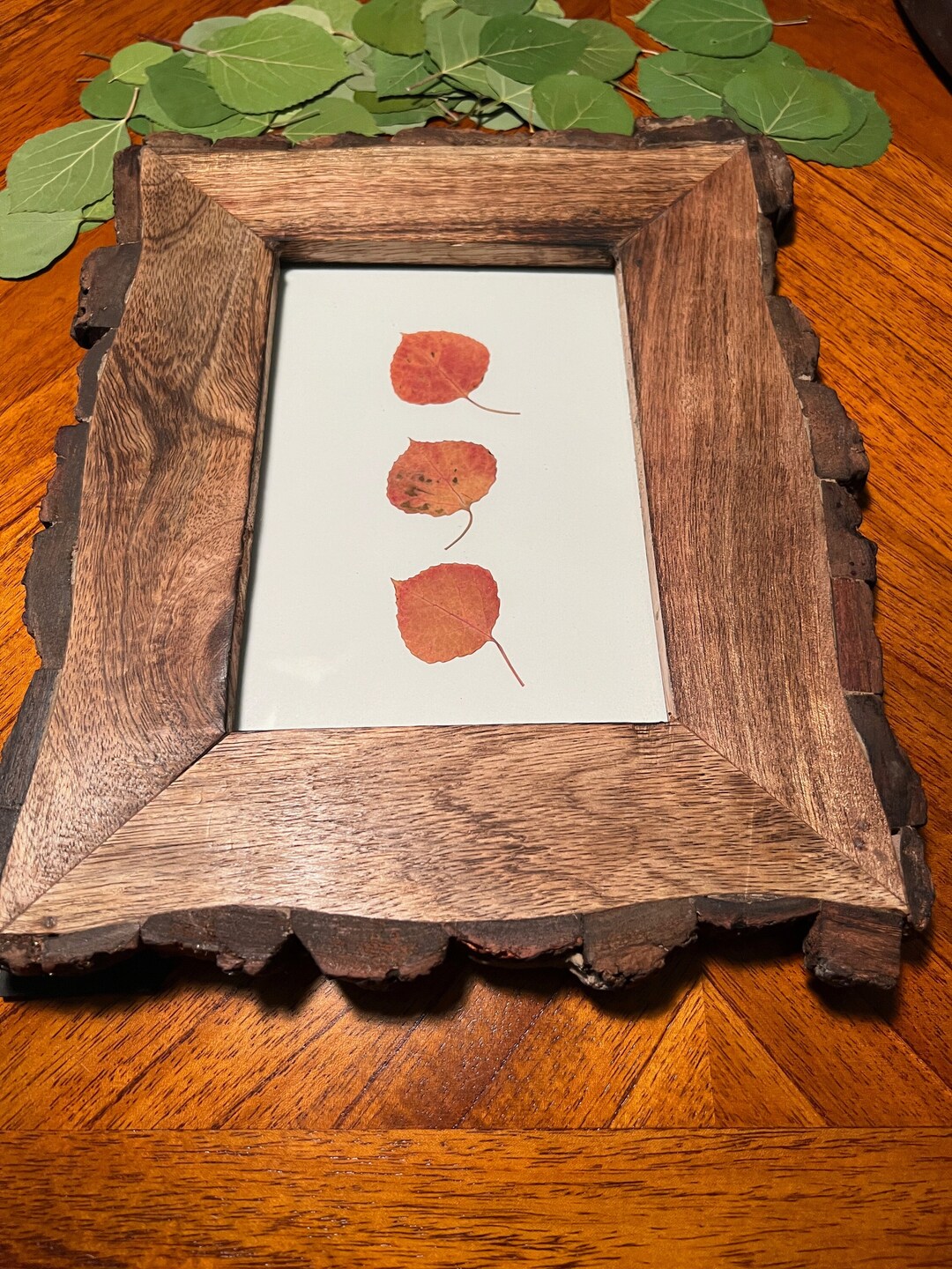 Real Pressed Aspen Leaf Home Decor / One-of-a-kind 5x7 Framed Artwork ...