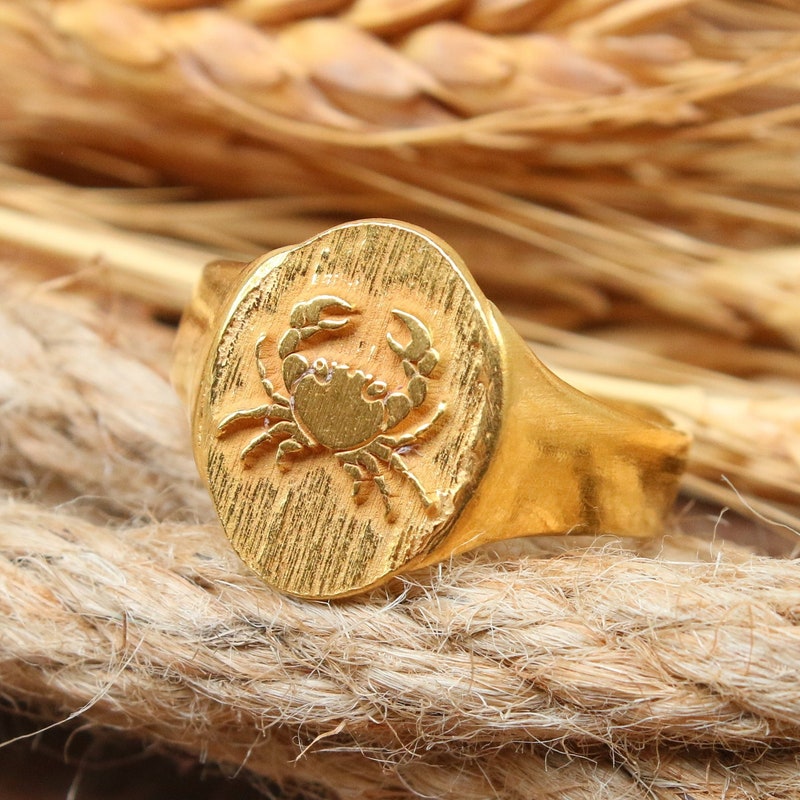 Zodiac Ring - Etsy
