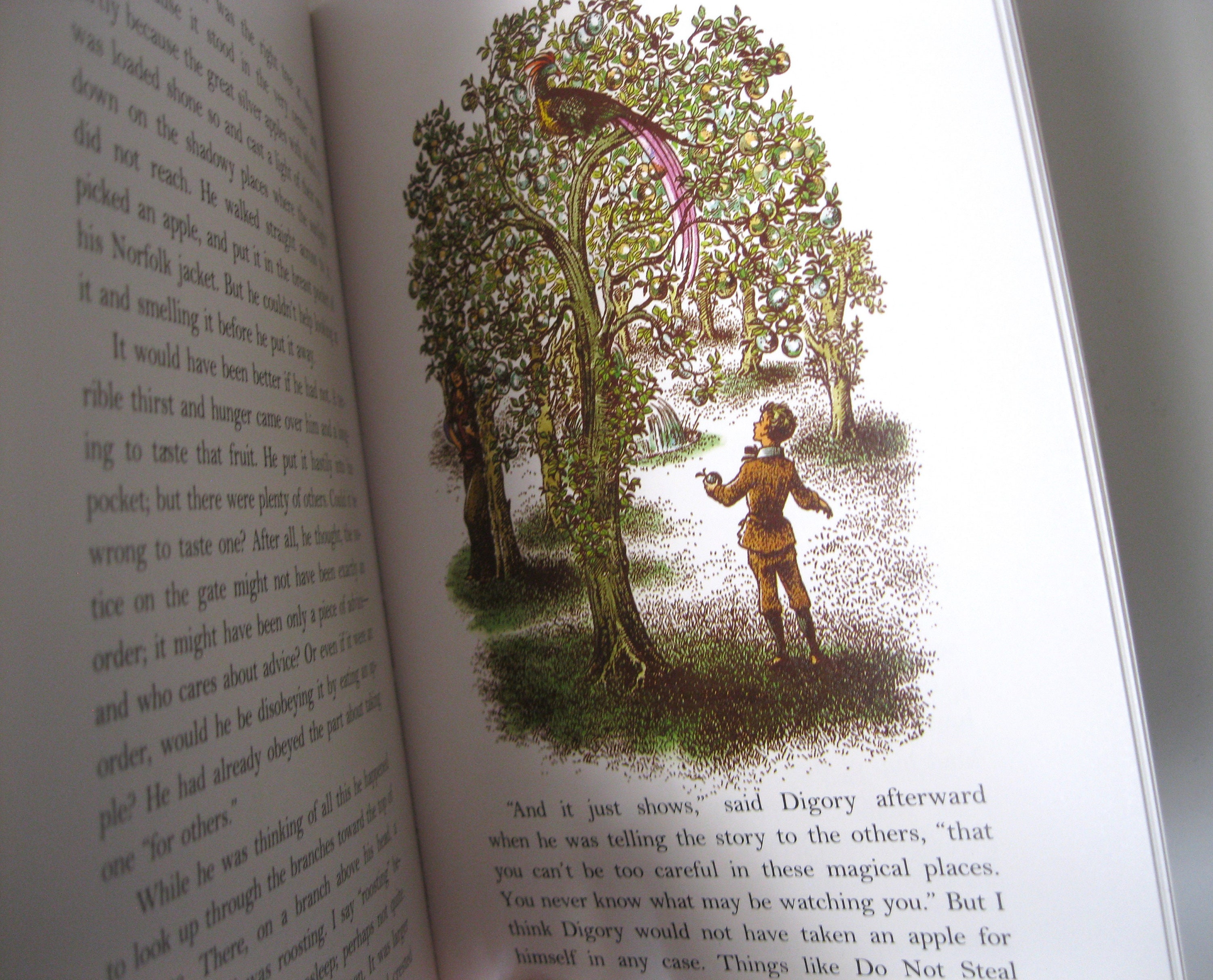 The Chronicles of Narnia, Full-color Collector's Edition, You Choose - Etsy