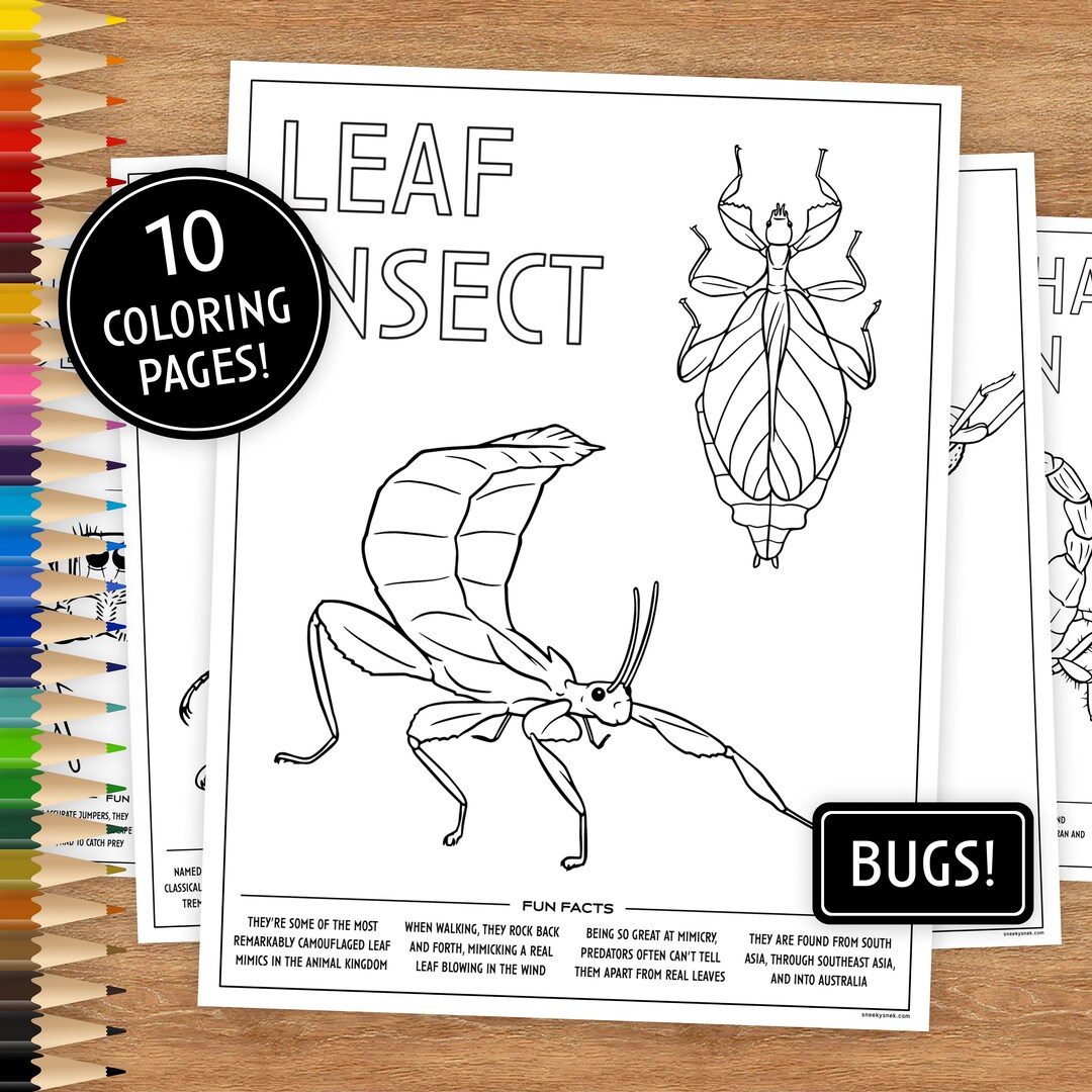 10 Printable Coloring Pages, Bugs With Fun Facts, Insect Coloring Pages ...
