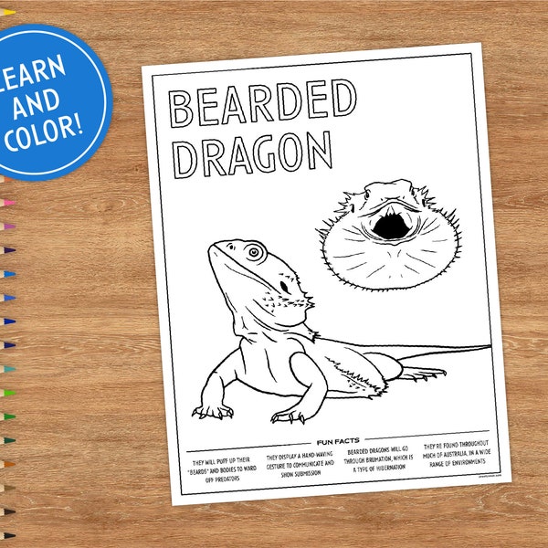 Bearded Dragon Coloring Pages - Etsy