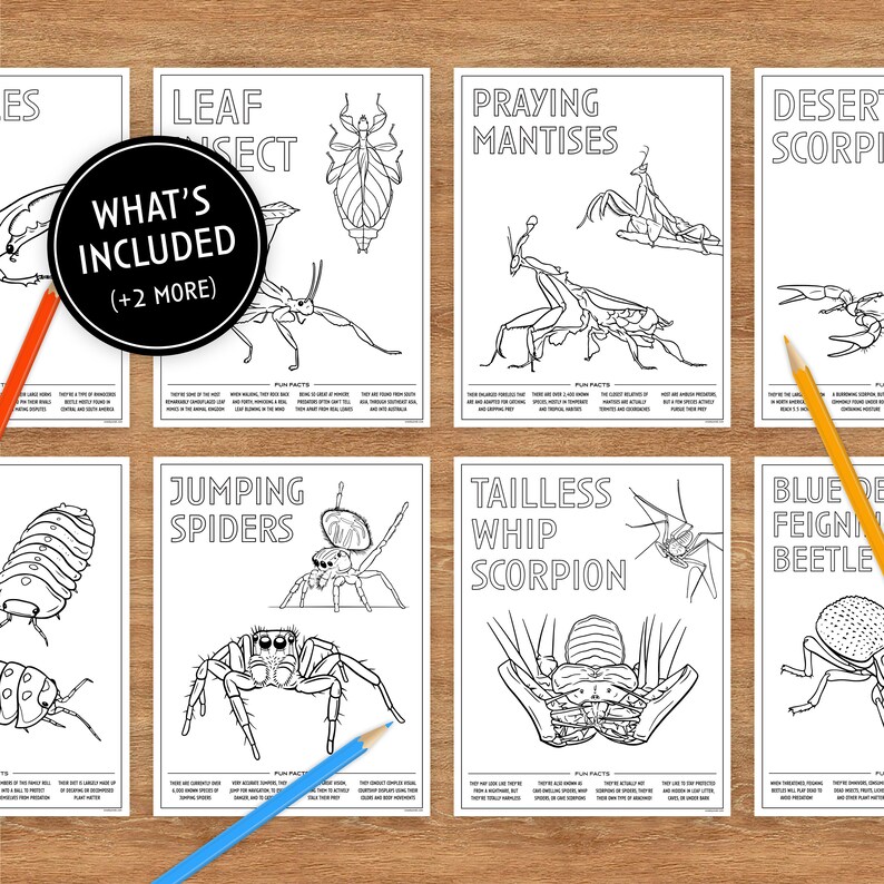 10 Printable Coloring Pages, Bugs With Fun Facts, Insect Coloring Pages ...