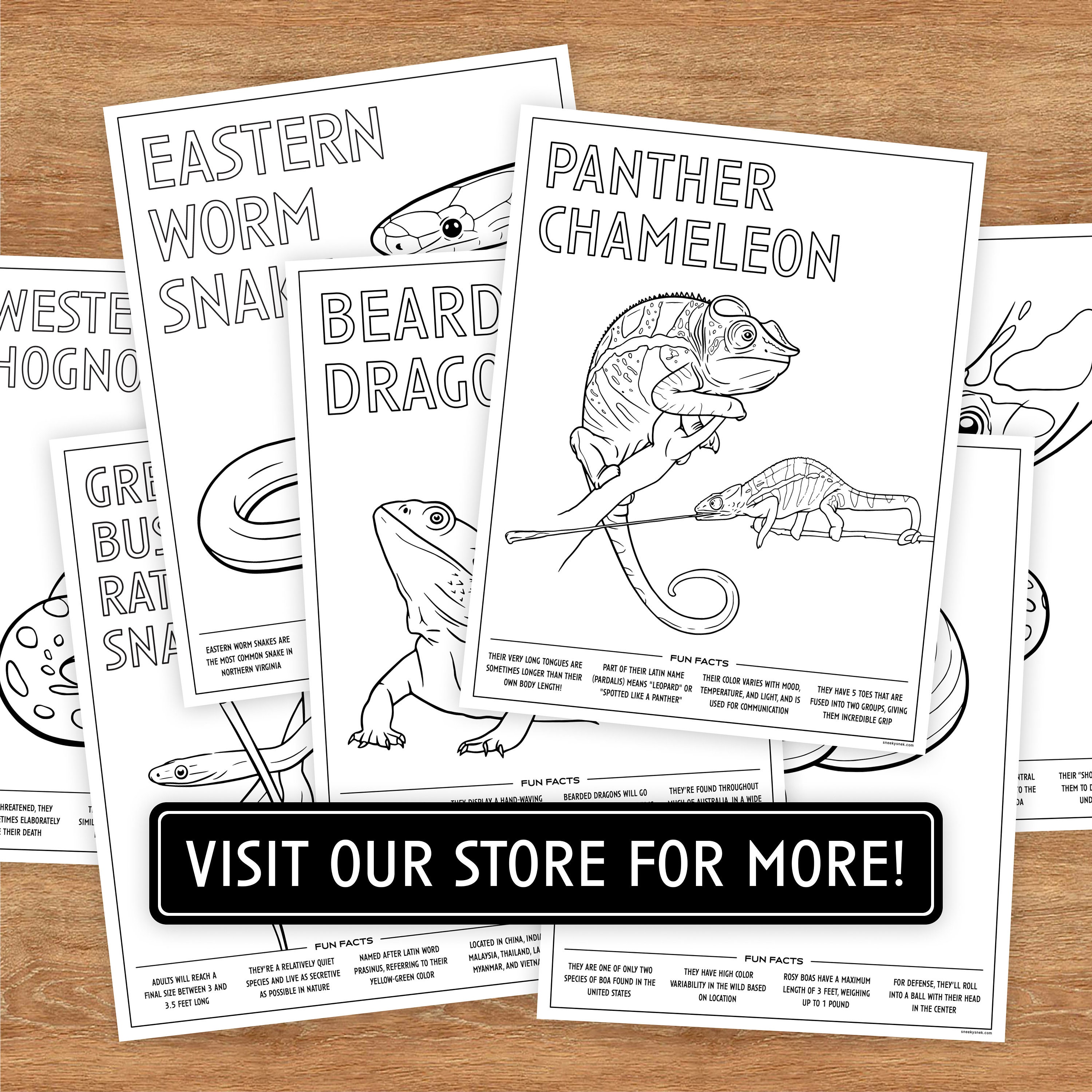 Snakes, Lizards, & Tarantulas Coloring Pages - 3 Printable Activity ...