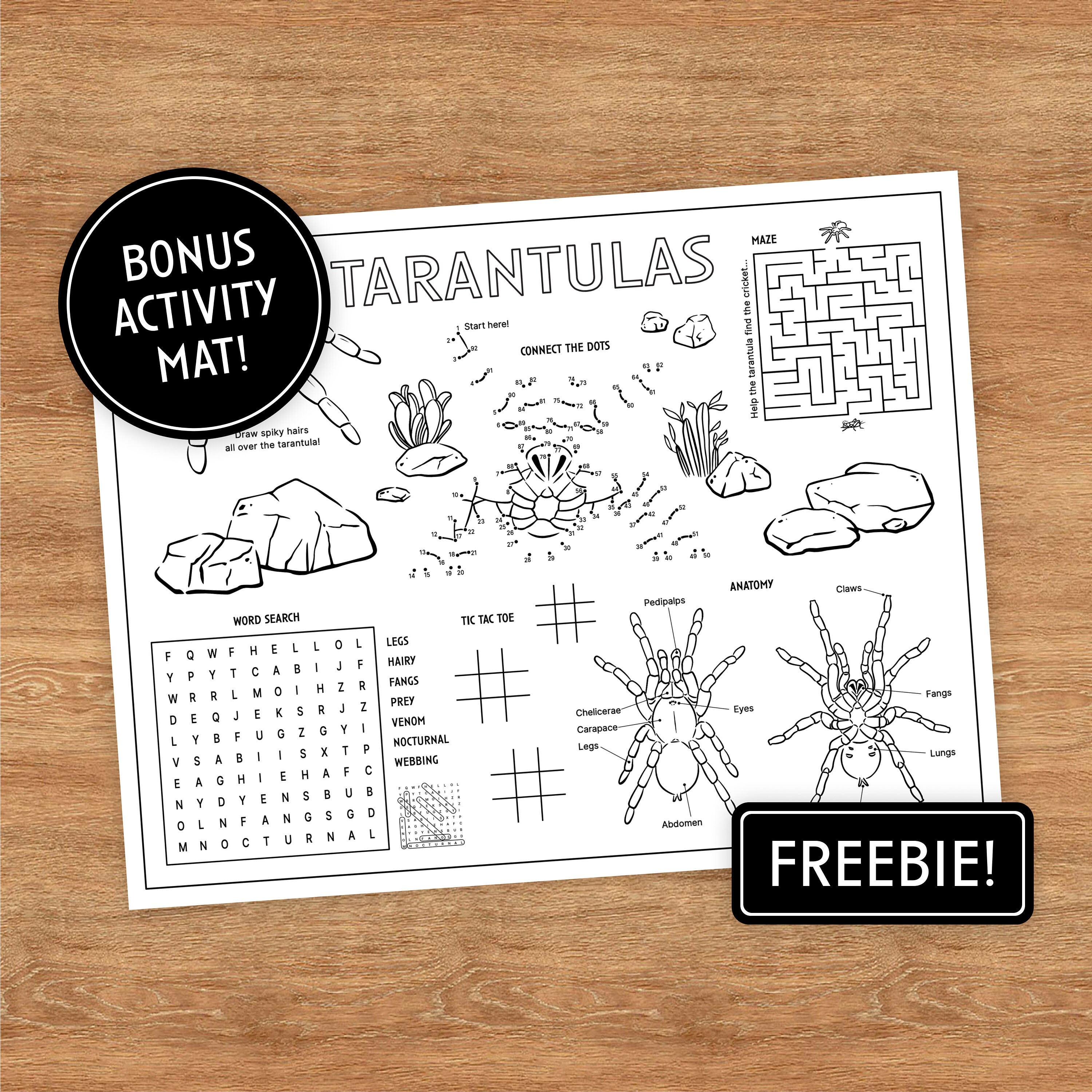 10 Printable Coloring Pages, Bugs With Fun Facts, Insect Coloring Pages ...