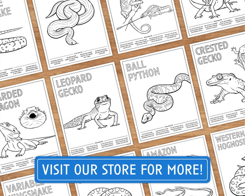 Printable Coloring Page, Leopard Gecko, Includes Fun Facts, Coloring ...