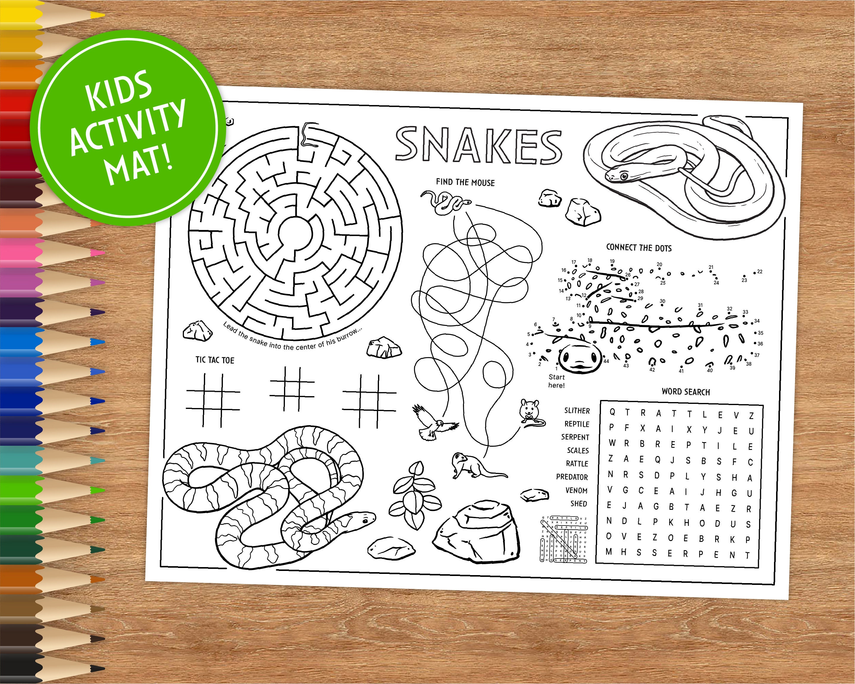Printable Activity Placemat Coloring Pages for Kids Digital - Etsy ...
