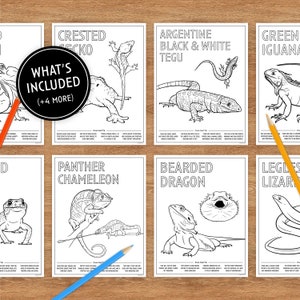 Lizard Coloring Pages With Fun Facts - 12 Printable Pages (digital ...