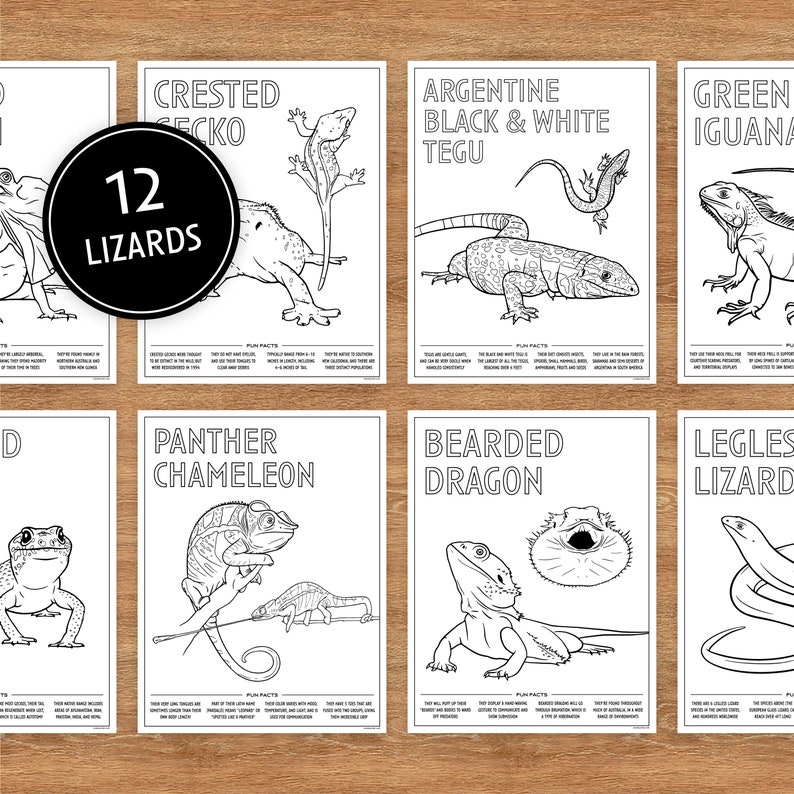 Snakes, Lizards, & Bugs Coloring Pages With Fun Facts - 34 Printable ...