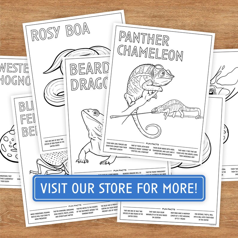 Bearded Dragon Coloring Page: Fun Facts, Reptile Art (digital Download ...