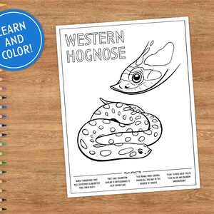 Printable Coloring Page Includes Fun Facts Coloring Pages - Etsy