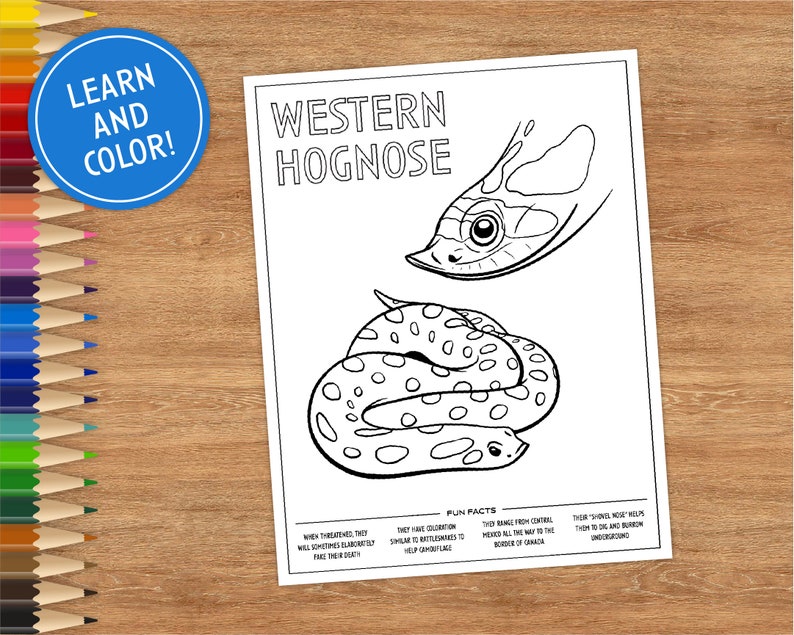 Printable Coloring Page Includes Fun Facts Coloring Pages - Etsy