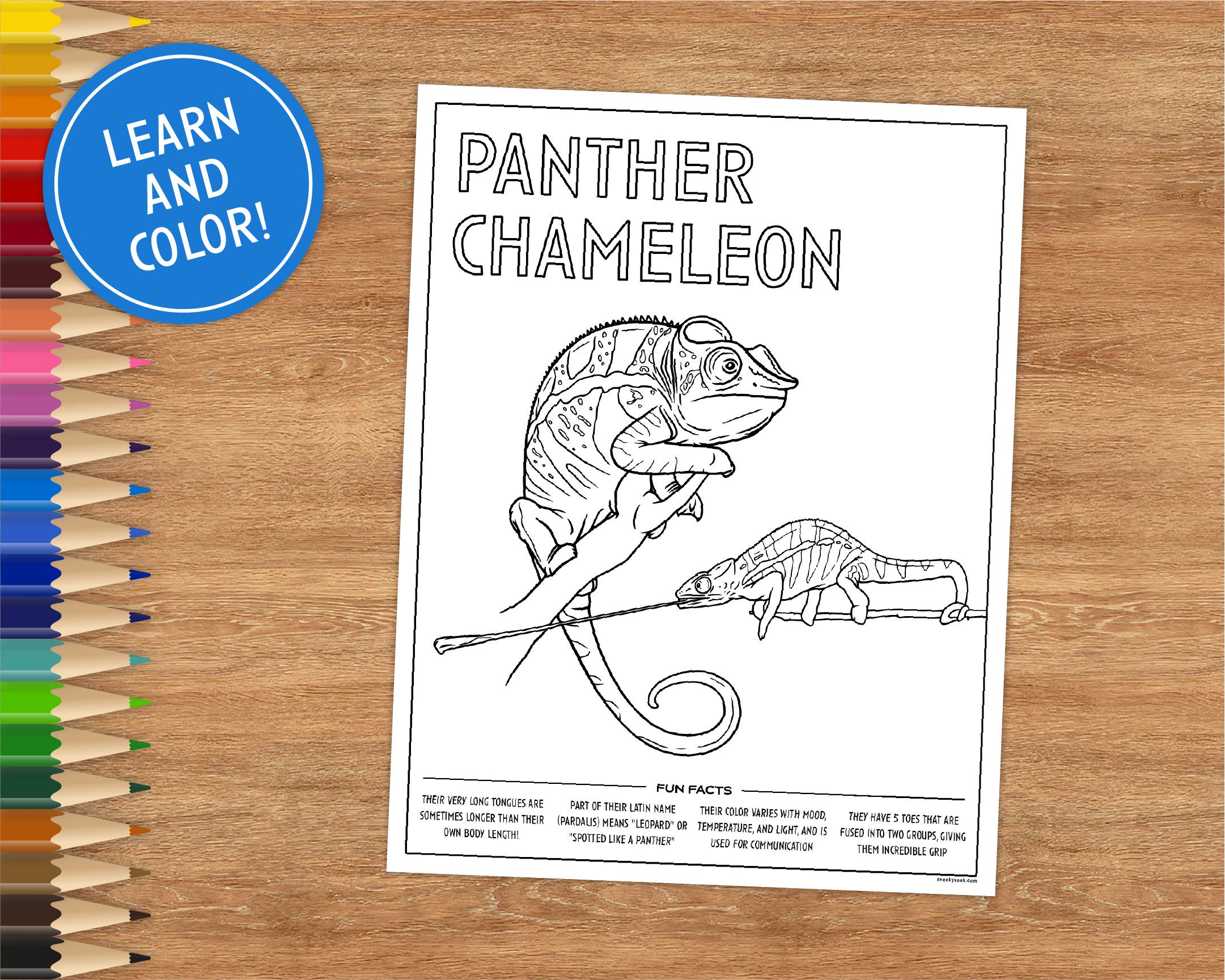 A Color Of His Own Chameleon Coloring Page